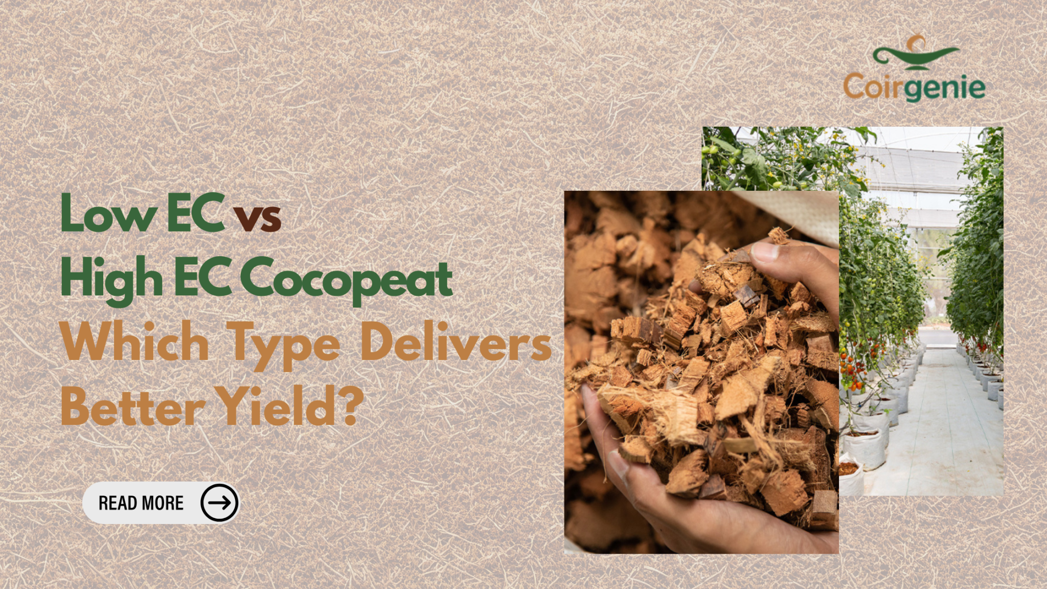 Understanding Low EC vs High EC Cocopeat: Which Type Delivers Better ...